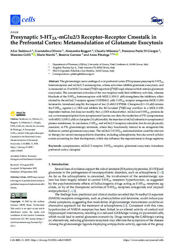 (PDF) Presynaptic 5-HT2A-mGlu2/3 Receptor–Receptor Crosstalk in the Prefrontal Cortex ...