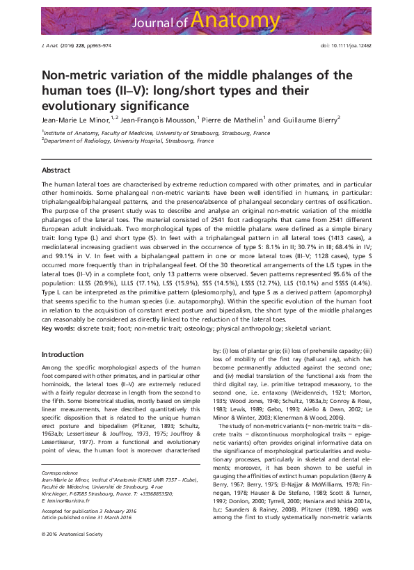(PDF) Non-metric variation of the middle phalanges of the human toes ...