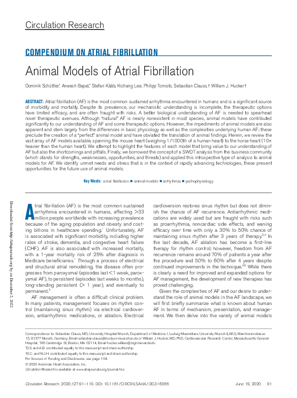 (PDF) Animal Models of Atrial Fibrillation | William Hucker - Academia.edu