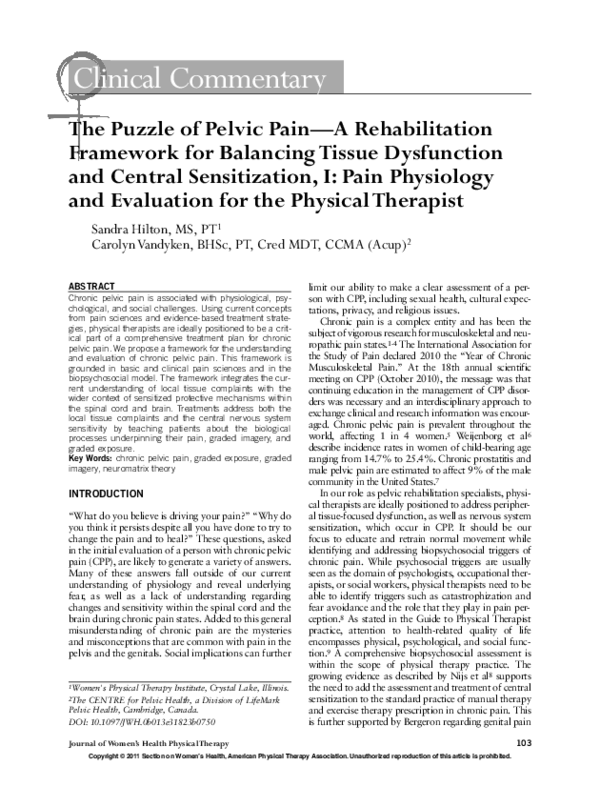 (PDF) The Puzzle of Pelvic Pain—A Rehabilitation Framework for ...