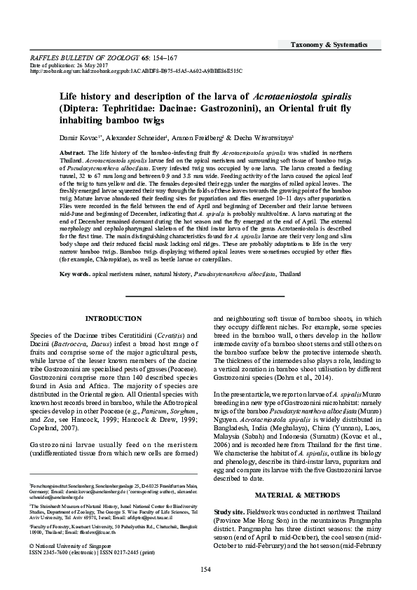 (PDF) Life history and description of the larva of Acrotaeniostola ...