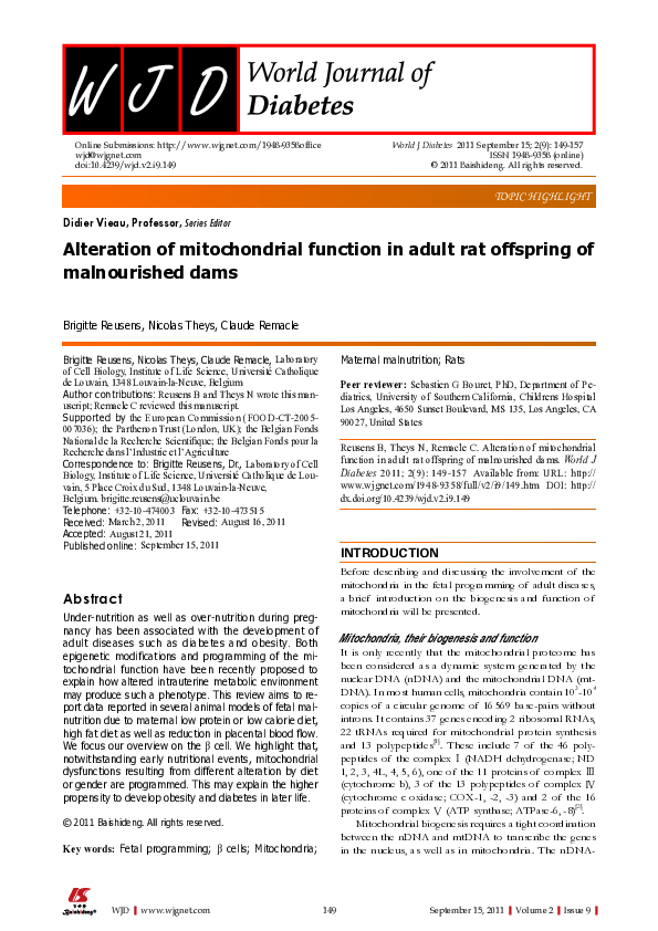 (PDF) Alteration of mitochondrial function in adult rat offspring of ...
