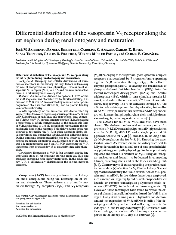 (PDF) Differential distribution of the vasopressin V2 receptor along ...