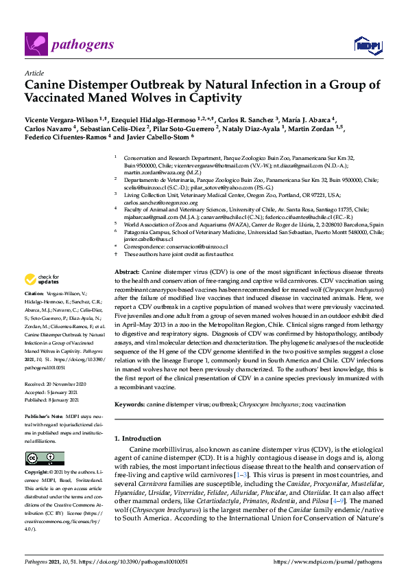 (PDF) Canine Distemper Outbreak by Natural Infection in a Group of ...