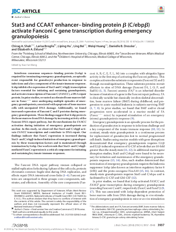 (PDF) Stat3 and CCAAT enhancer-binding protein β (C/ebpβ) activate ...