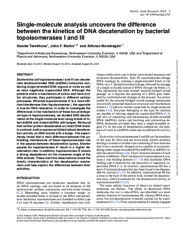 (PDF) Single-molecule analysis uncovers the difference between the ...