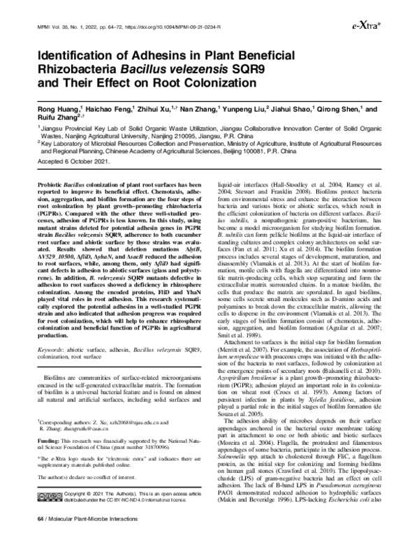 (PDF) Identification of Adhesins in Plant Beneficial Rhizobacteria ...