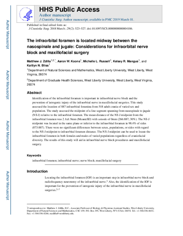 (PDF) The Infraorbital Foramen Is Located Midway Between the ...