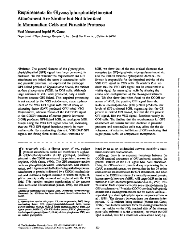 (PDF) Requirements for glycosylphosphatidylinositol attachment are ...