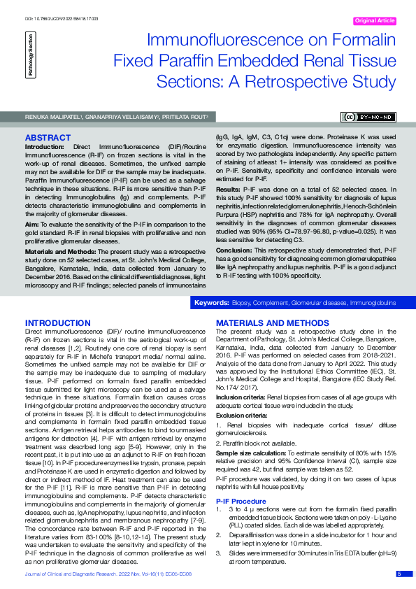 Pdf Immunofluorescence On Formalin Fixed Paraffin Embedded Renal Tissue Sections A