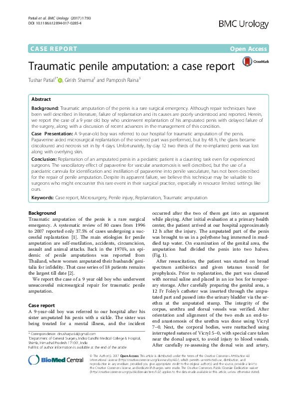 (PDF) Traumatic penile amputation: a case report