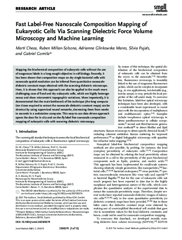 (PDF) Fast Label‐Free Nanoscale Composition Mapping of Eukaryotic Cells ...