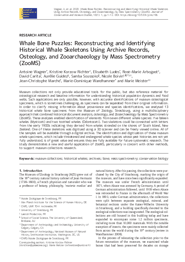 (PDF) Whale Bone Puzzles: Reconstructing and Identifying Historical ...