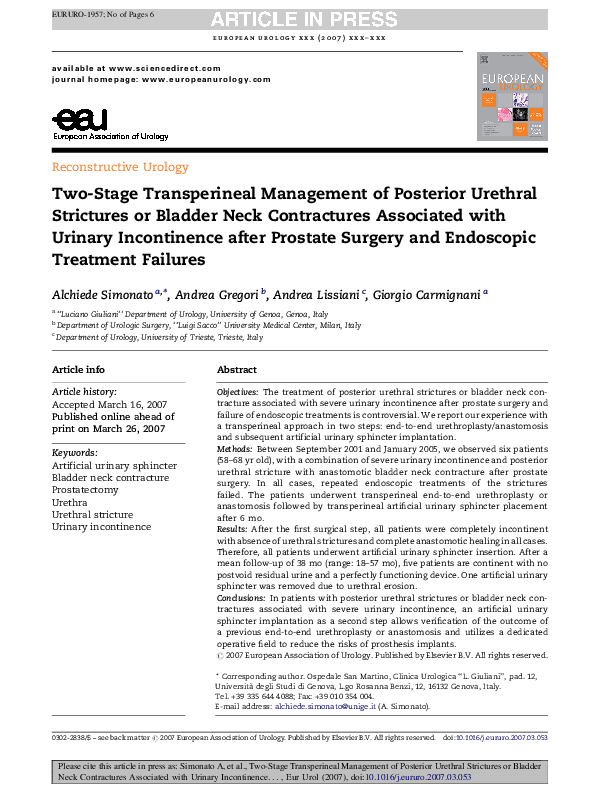 (PDF) Transperineal Approach for Urethral Strictures