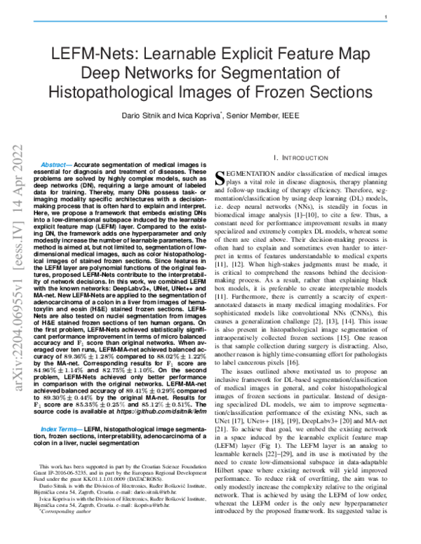 (PDF) LEFM-Nets: Learnable Explicit Feature Map Deep Networks for Segmentation of ...
