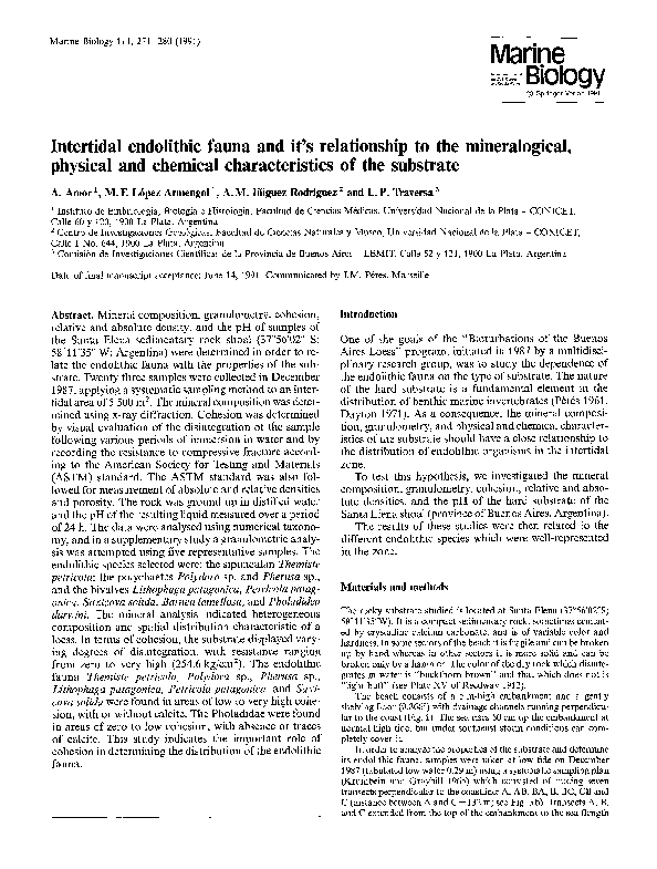 Pdf Intertidal Endolithic Fauna And Its Relationship To The Mineralogical Physical And