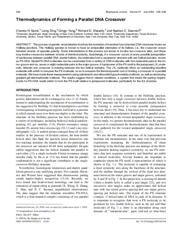 (PDF) Thermodynamics of Forming a Parallel DNA Crossover
