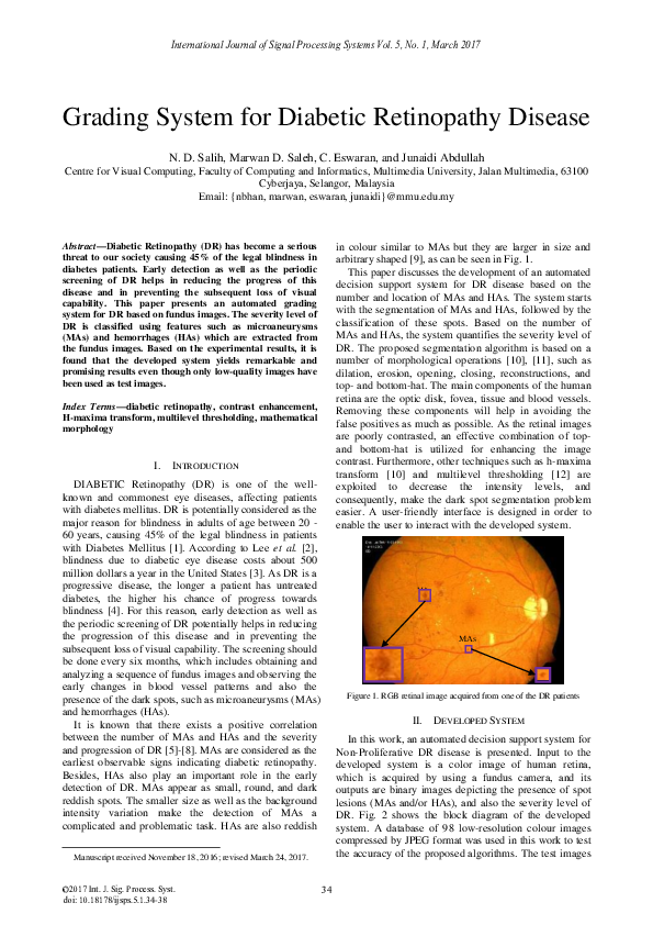 (PDF) Grading System for Diabetic Retinopathy Disease