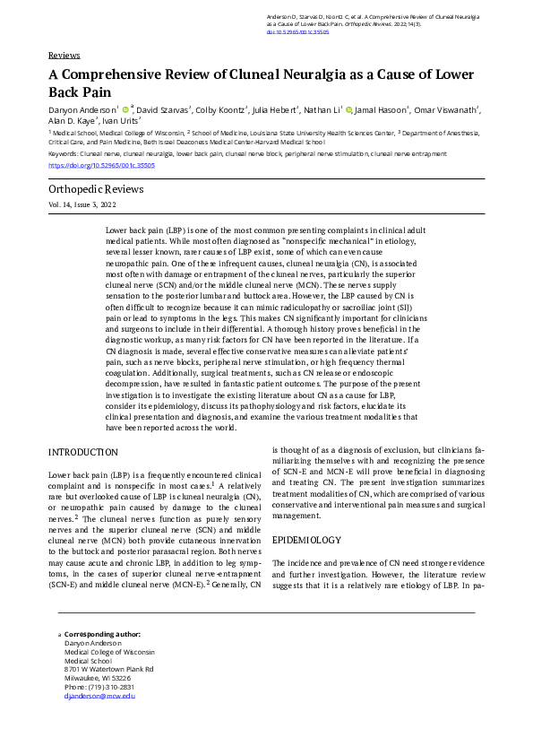 (PDF) A Comprehensive Review of Cluneal Neuralgia as a Cause of Lower ...