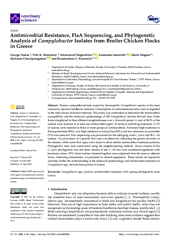 Antimicrobial Resistance, FlaA Sequencing, and Phylogenetic Analysis of ...