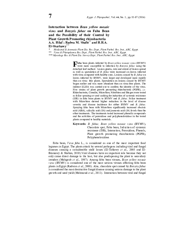 (PDF) Interaction between Bean yellow mosaic virus and Botrytis fabae ...