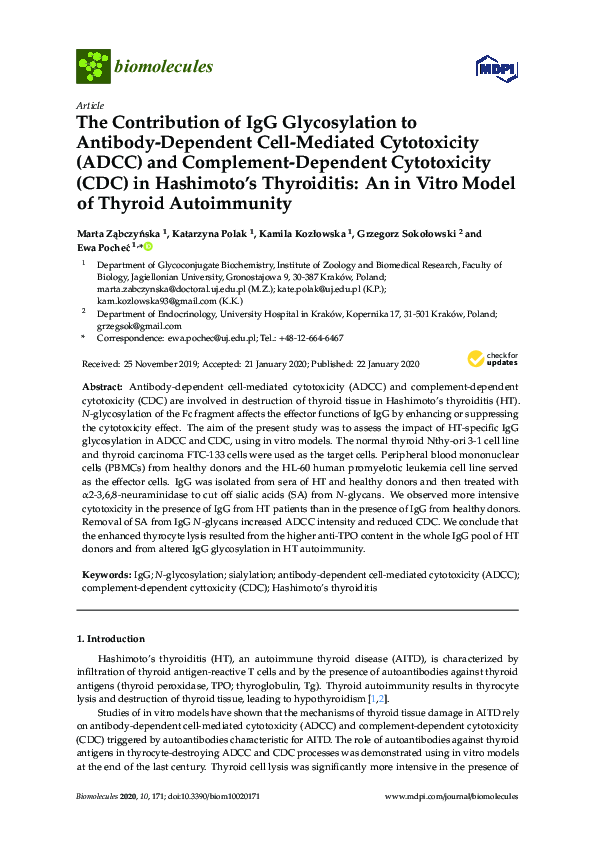 (PDF) The Contribution of IgG Glycosylation to Antibody-Dependent Cell ...