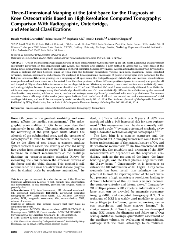 (PDF) Three-dimensional mapping of the joint space for the diagnosis of knee osteoarthritis ...