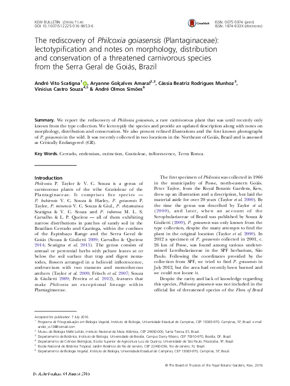 (PDF) The rediscovery of Philcoxia goiasensis (Plantaginaceae ...