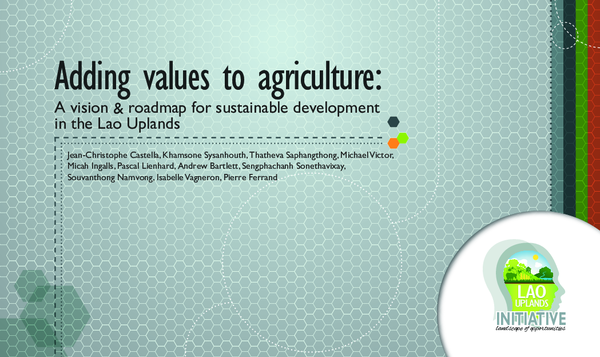 (PDF) Adding values to agriculture: A vision and roadmap for ...