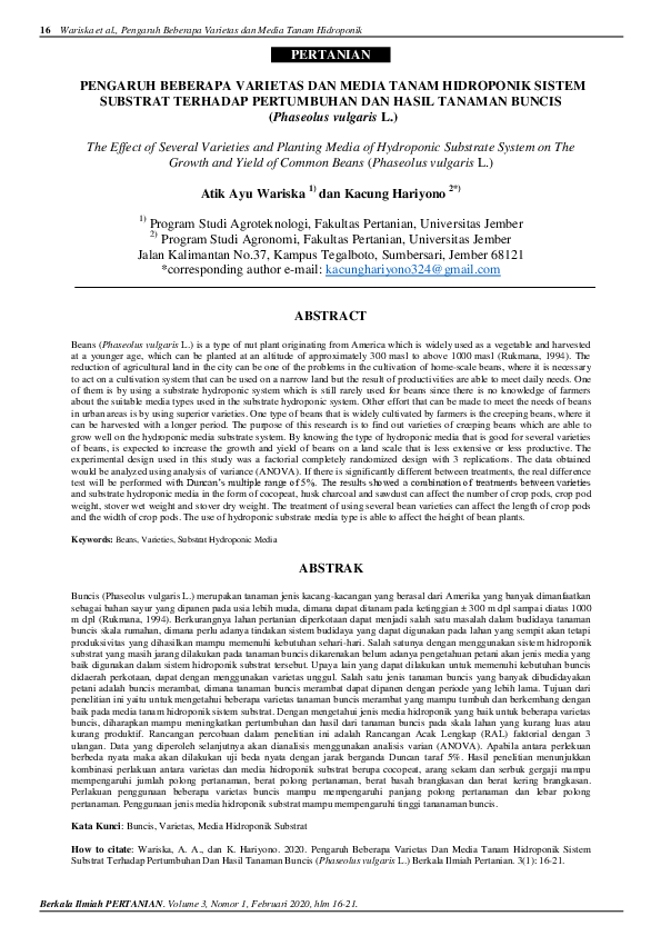 (PDF) PENGARUH BEBERAPA VARIETAS DAN MEDIA TANAM HIDROPONIK SISTEM SUBSTRAT TERHADAP PERTUMBUHAN ...
