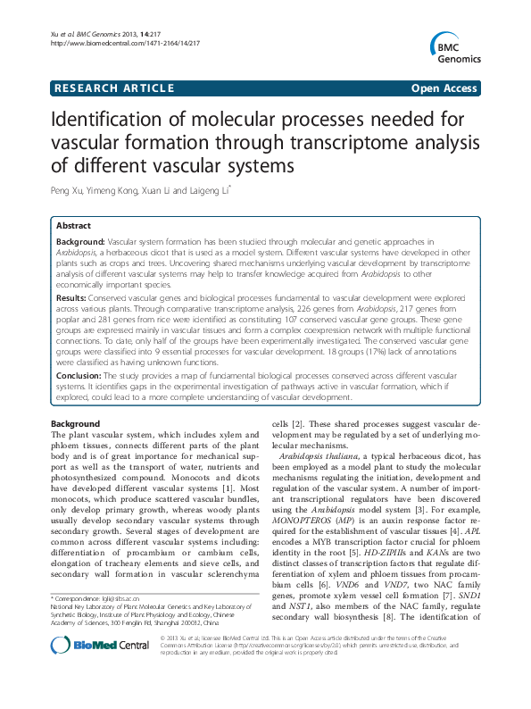 (PDF) Identification of molecular processes needed for vascular ...