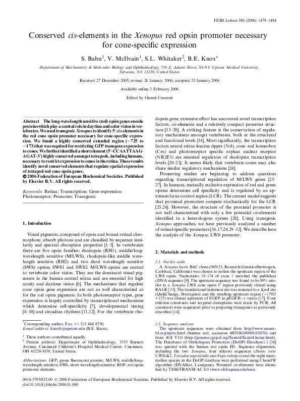 (PDF) Conserved cis-elements in the Xenopus red opsin promoter ...