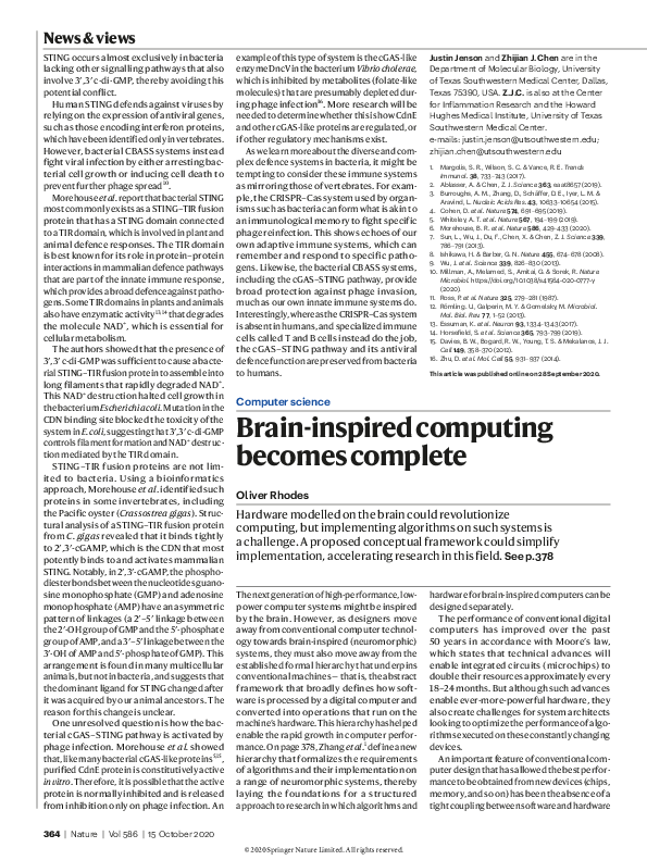 (PDF) Brain-inspired computing boosted by new concept of completeness