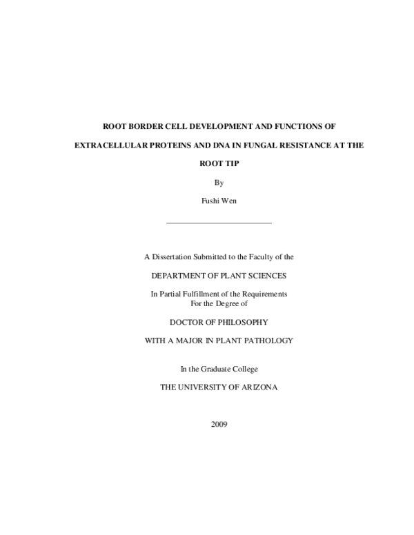 (PDF) Root border cell development and functions of extracellular ...