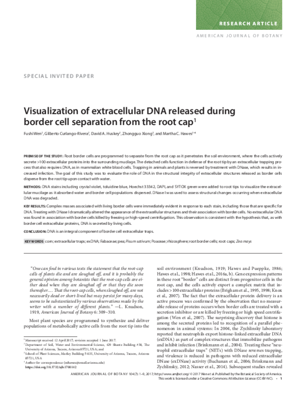 (PDF) Visualization of extracellular DNA released during border cell ...