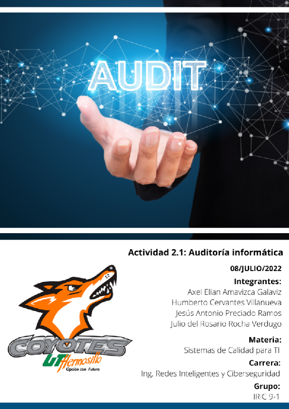 (PDF) Auditoria informática