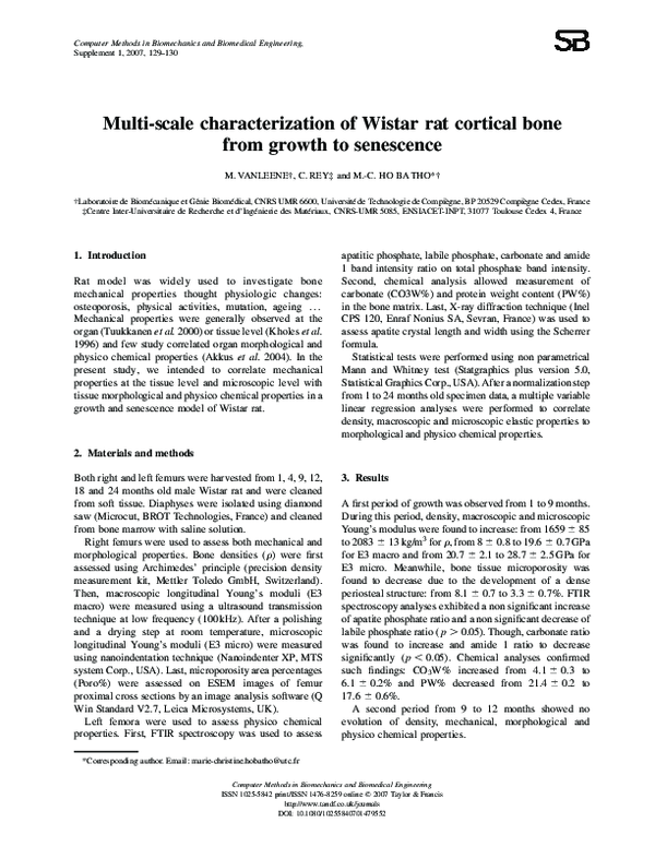 (PDF) Multi-scale characterization of Wistar rat cortical bone from ...