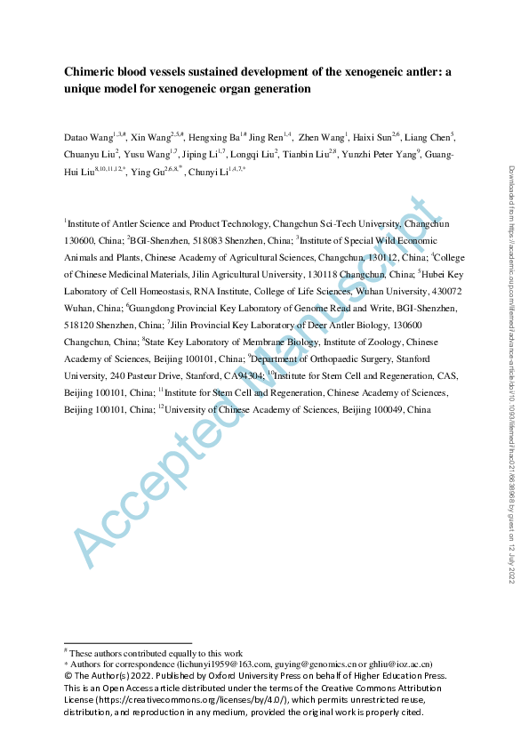 (PDF) Chimeric blood vessels sustained development of the xenogeneic ...