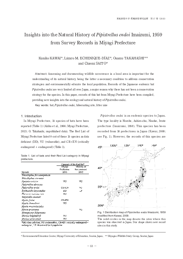 (PDF) Insights into the Natural History of Pipistrellus endoi Imaizumi ...