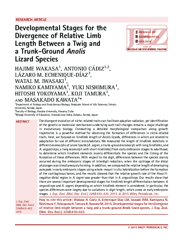 (PDF) Developmental stages for the divergence of relative limb length ...
