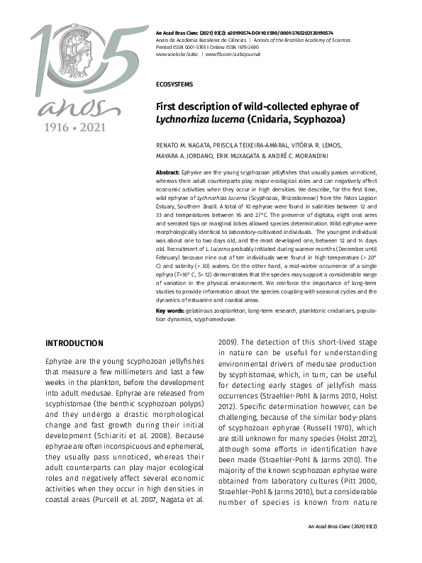 (PDF) First description of wild-collected ephyrae of Lychnorhiza ...
