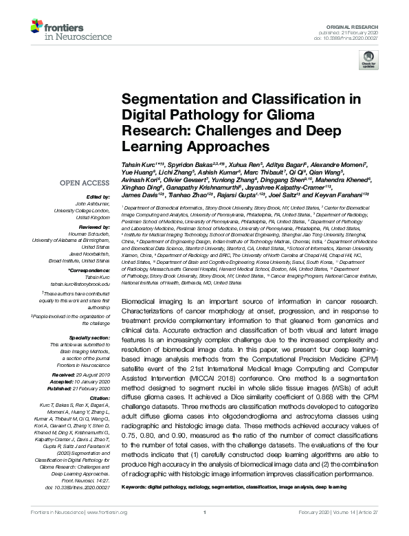 (PDF) Deep Learning for Glioma Image Analysis