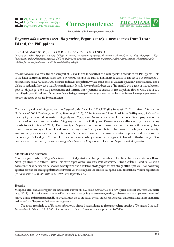 (PDF) Begonia adamsensis (sect. Baryandra, Begoniaceae), a new species ...