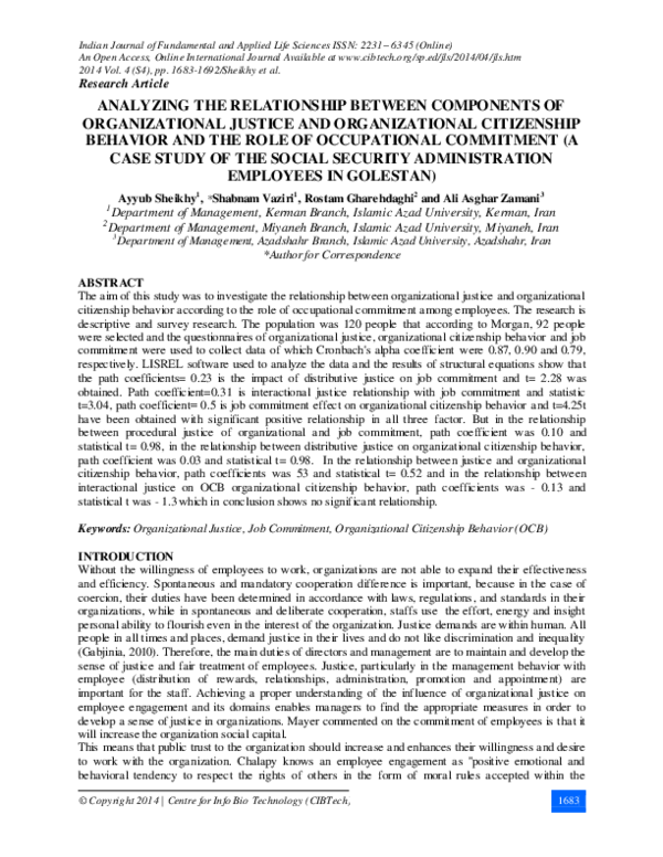 (PDF) Analyzing the Relationship Between Components of Organizational Justice and Organizational ...