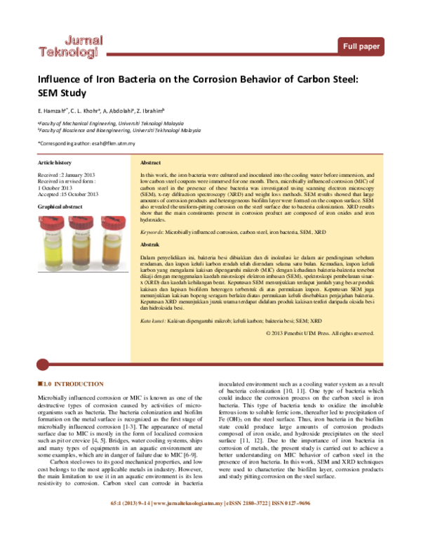 (PDF) Influence of Iron Bacteria on the Corrosion Behavior of Carbon ...