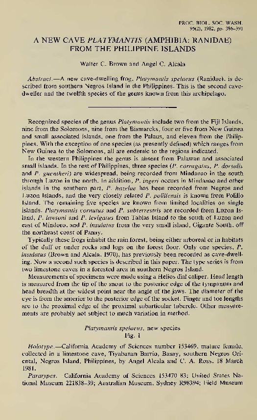 (PDF) A new cave Platymantis (Amphibia: Ranidae) from the Philippine ...
