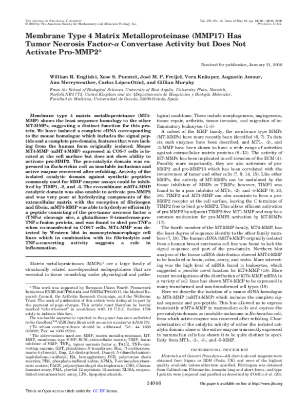 (PDF) Membrane Type 4 Matrix Metalloproteinase (MMP17) Has Tumor ...