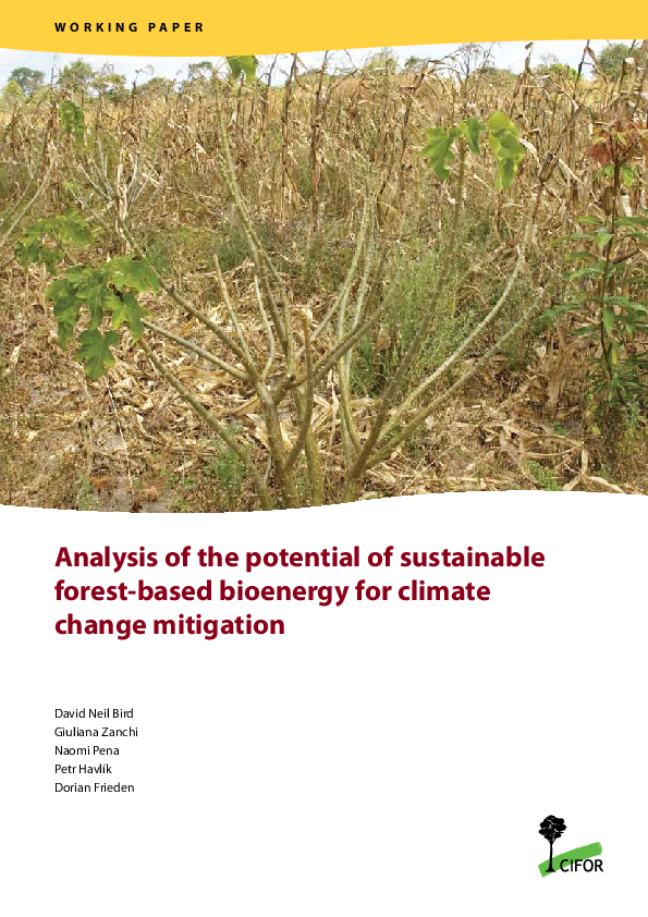 (PDF) Analysis of the potential of sustainable forest-based bioenergy for climate change mitigation