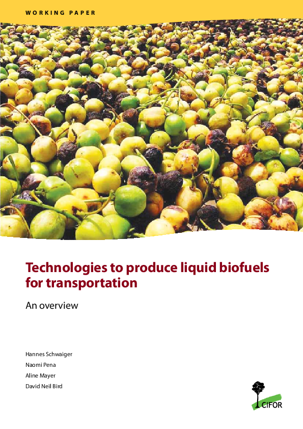 (PDF) Technologies to produce liquid biofuels for transportation: An overview