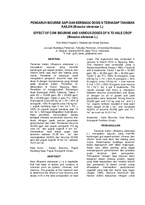 (PDF) PENGARUH BIOURINE SAPI DAN BERBAGAI DOSIS N TERHADAP TANAMAN ...